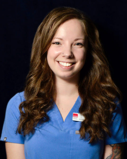 Meet Our Veterinary Care Team - Elliott Bay Animal Hospital